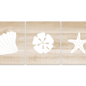Beige Beach House Decor, Ocean Bathroom Art, Sand Dollar Starfish ...