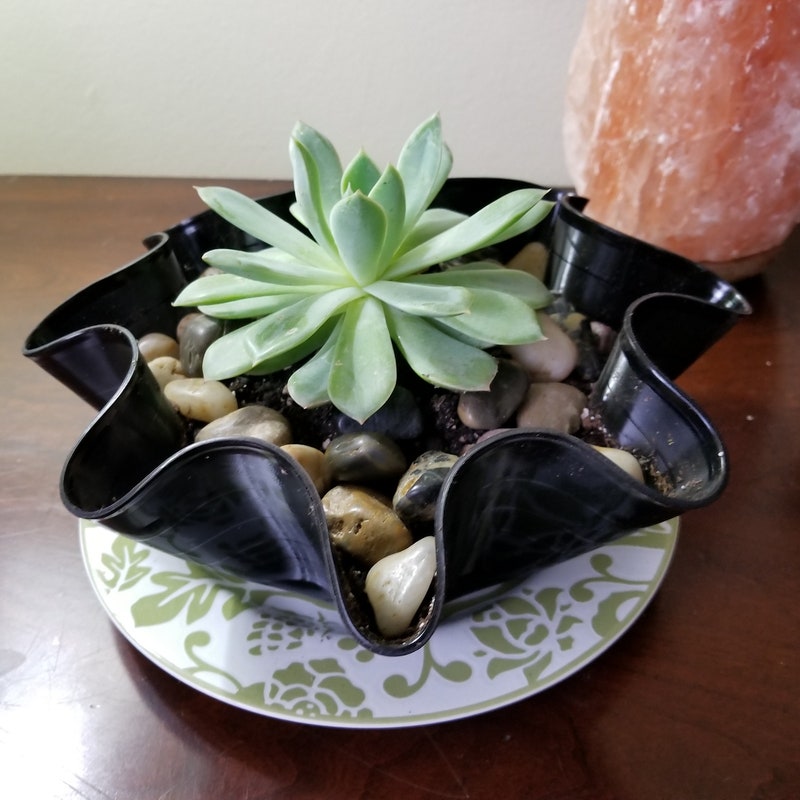 Retro Bowl Records - Etsy