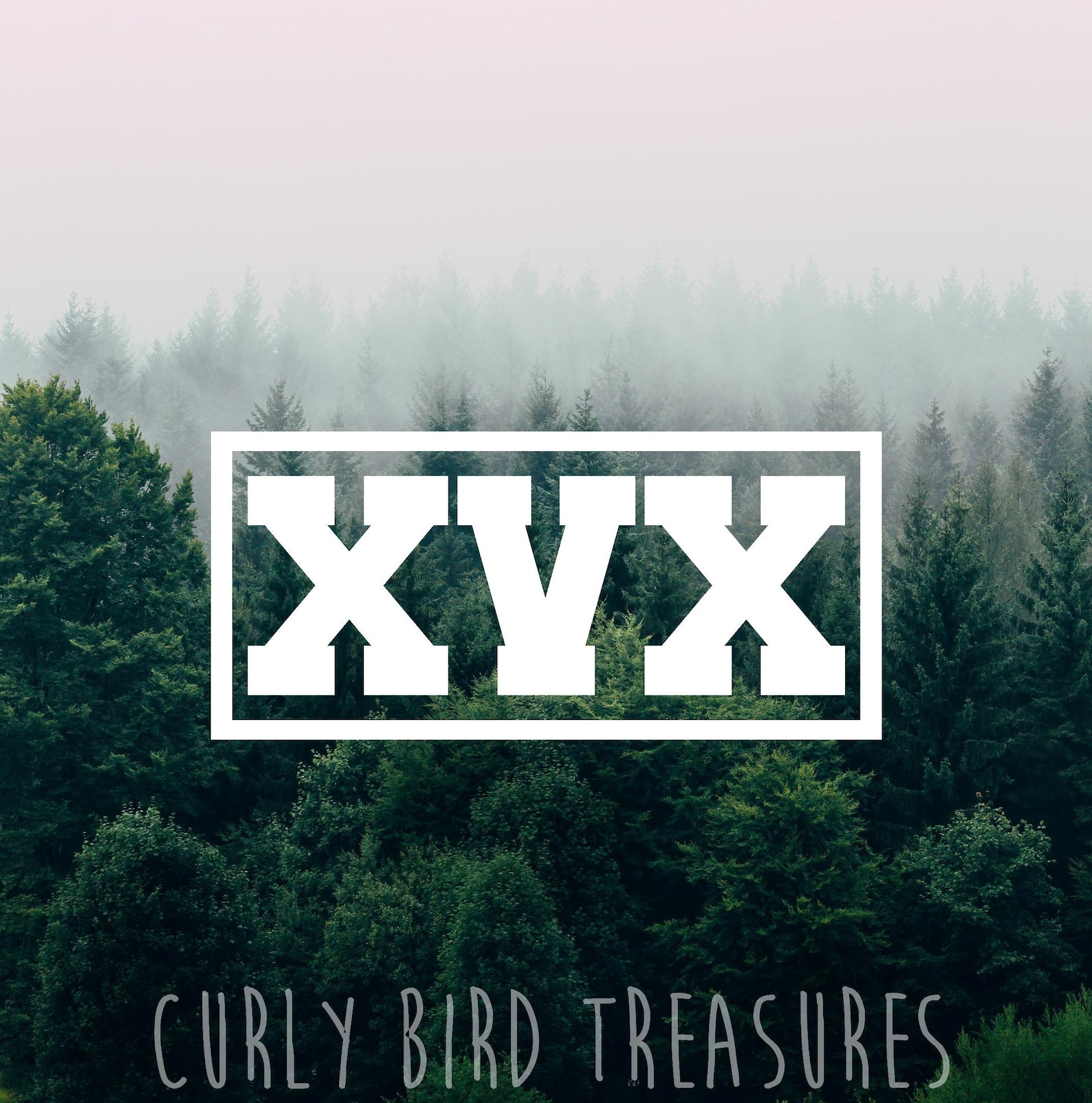 Vegan Straight Edge XVX Vinyl Decals / Yeti Car Laptop - Etsy