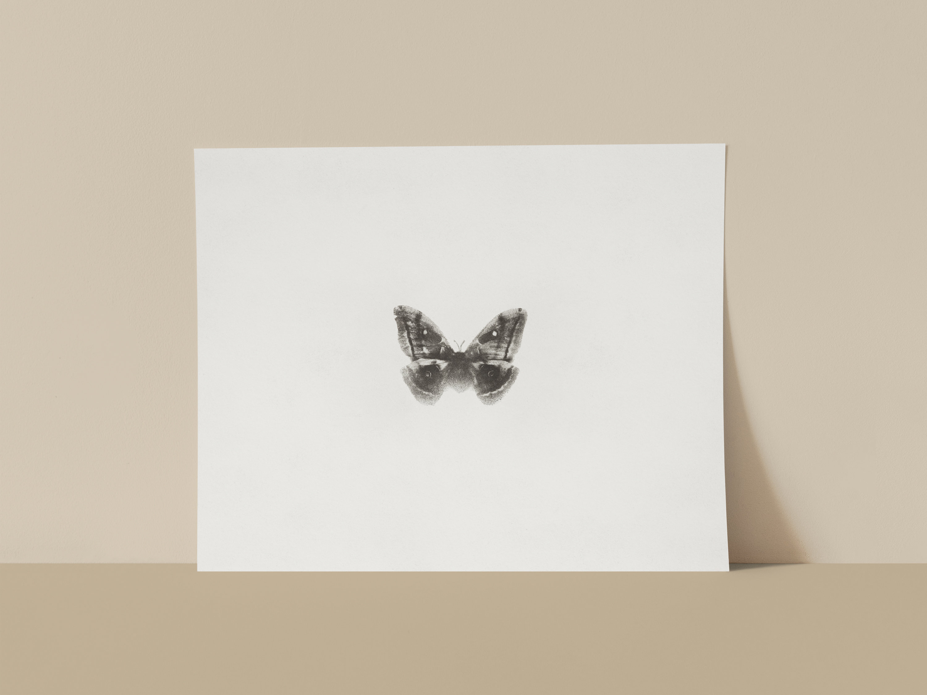 Silk Moth Bromoil Transfer Print - Etsy