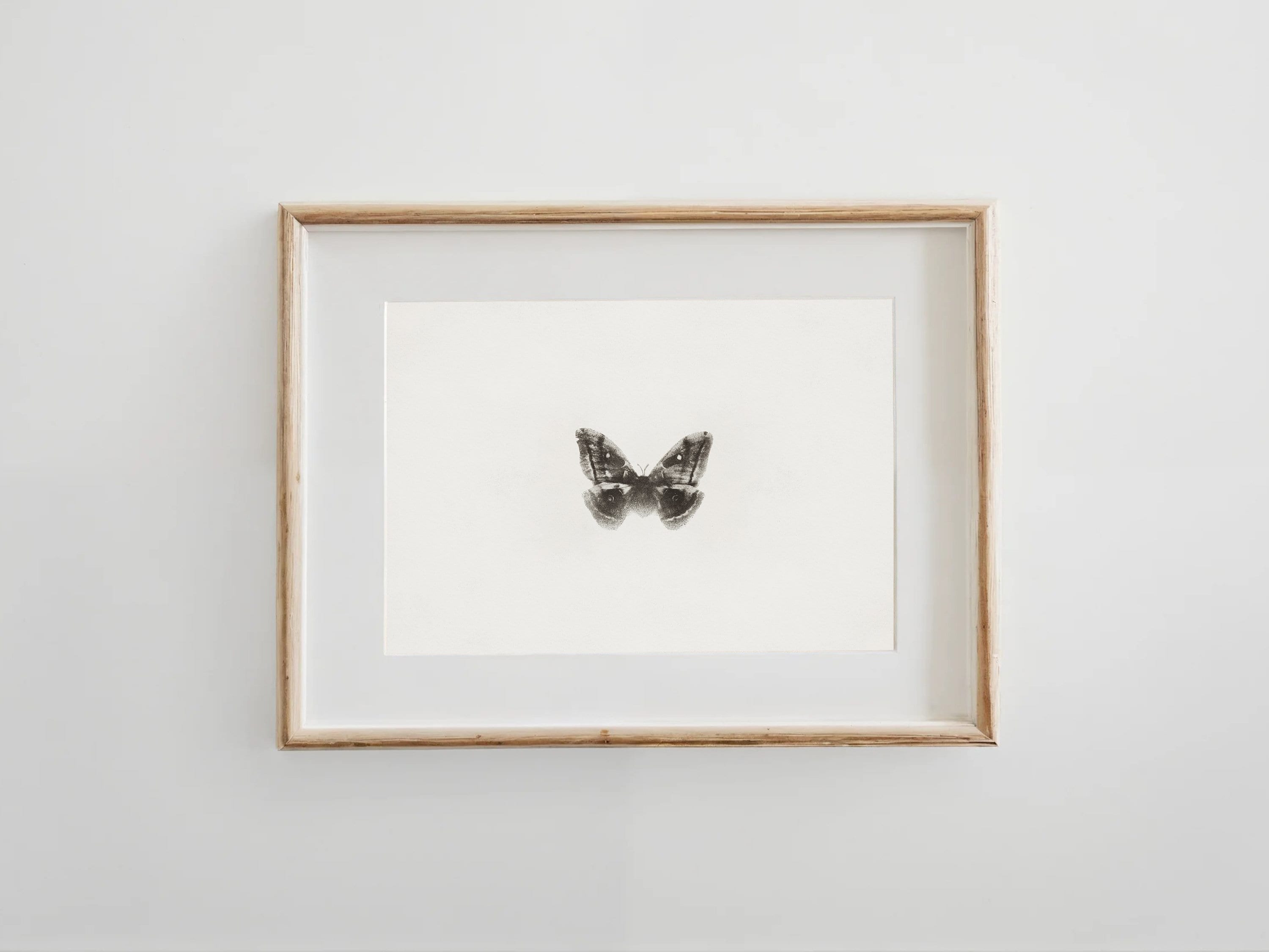 Silk Moth Bromoil Transfer Print - Etsy