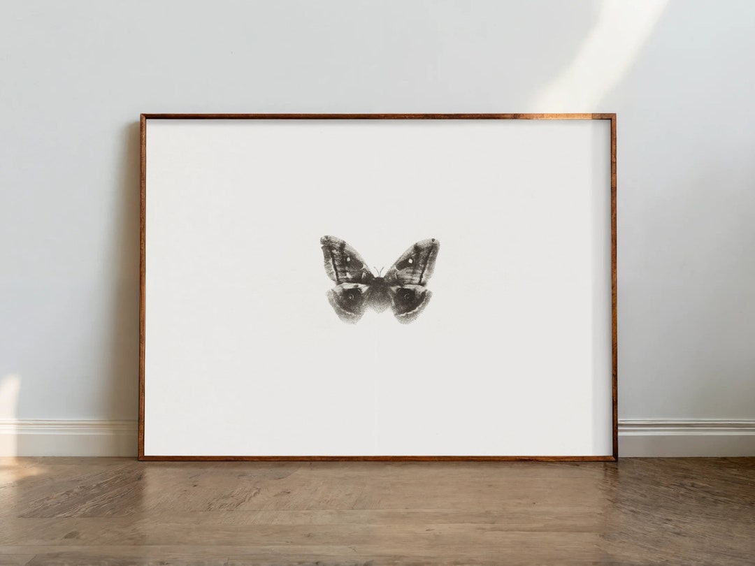 Silk Moth Bromoil Transfer Print - Etsy