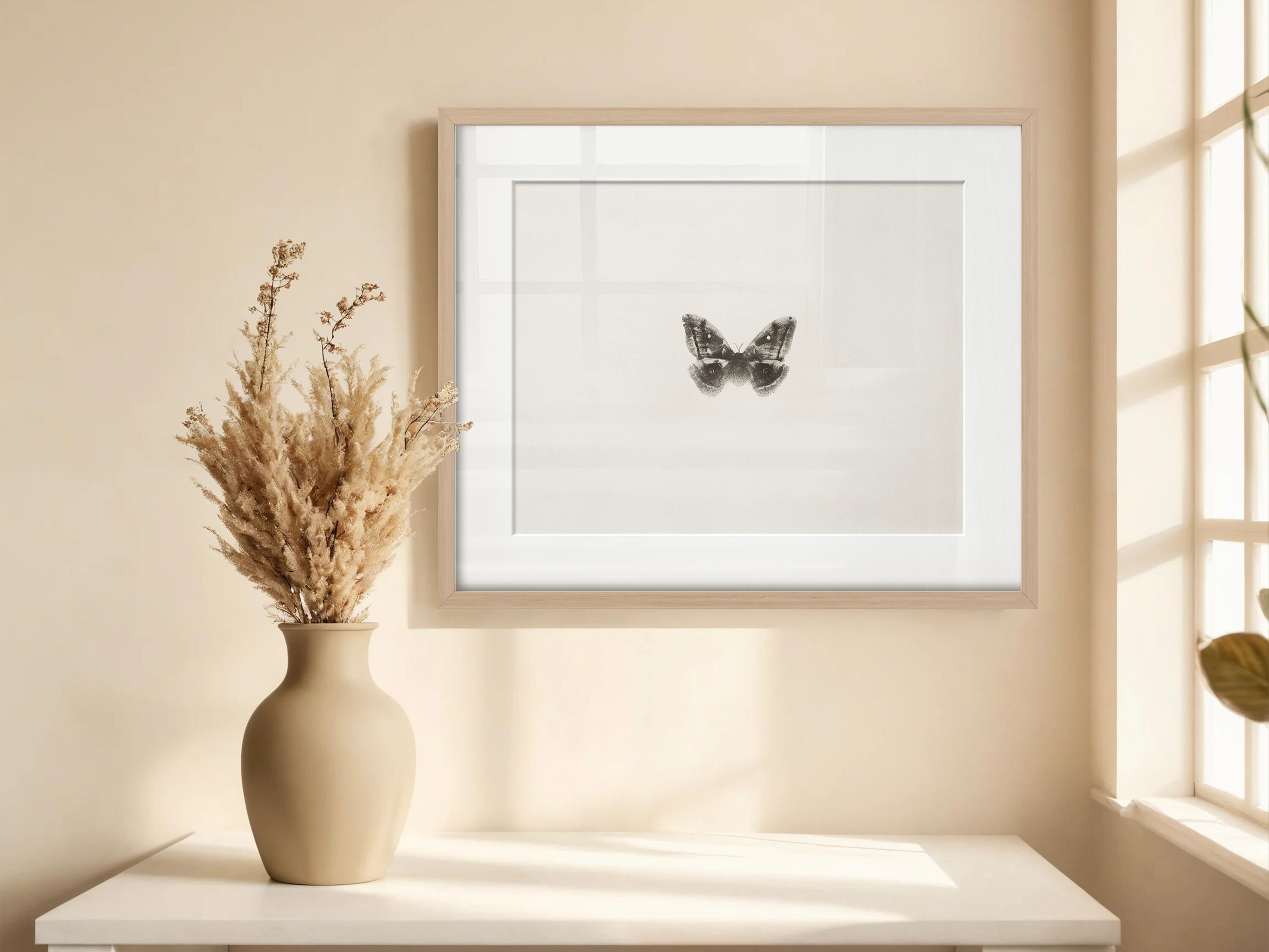 Silk Moth Bromoil Transfer Print - Etsy