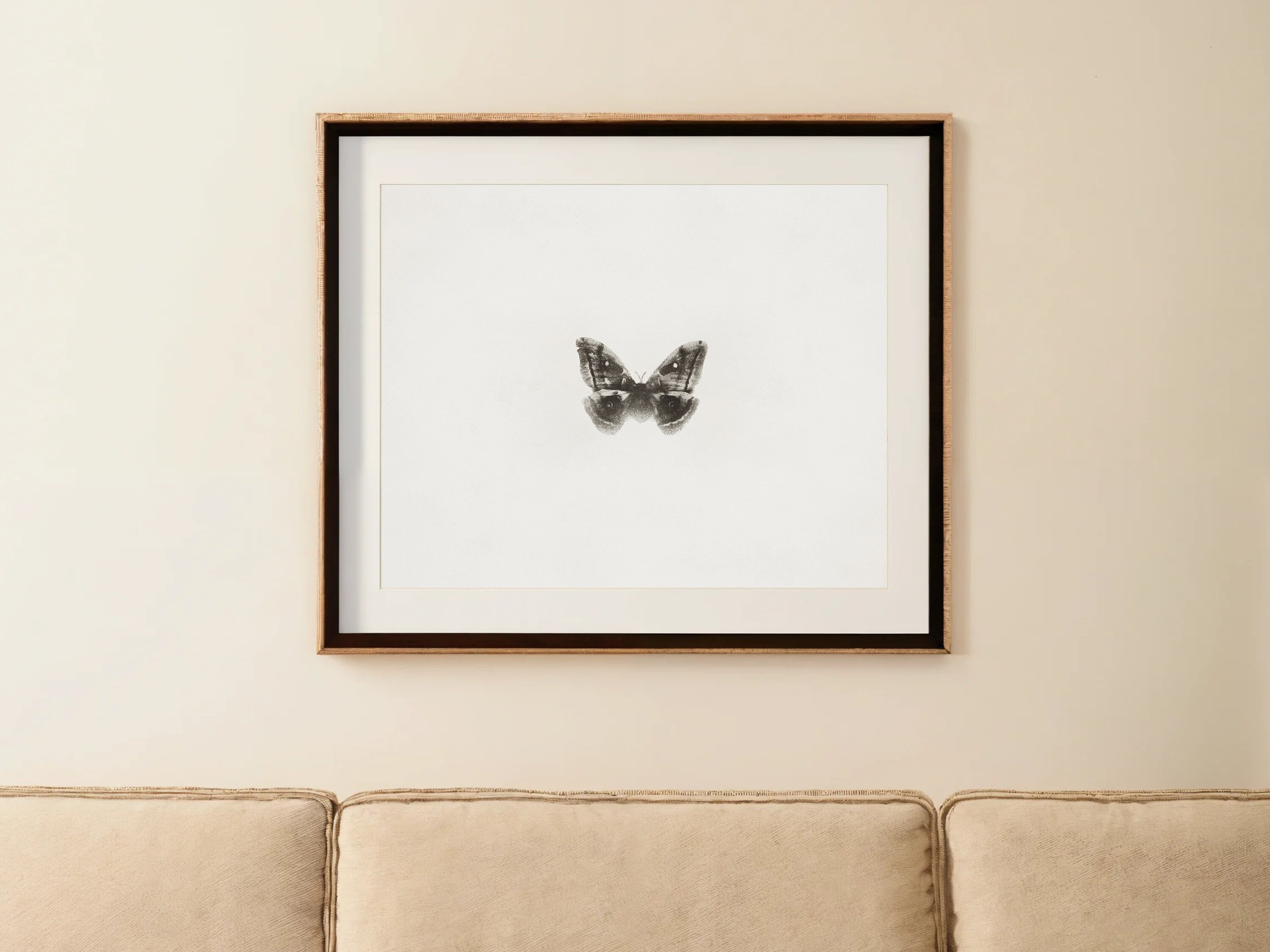 Silk Moth Bromoil Transfer Print - Etsy