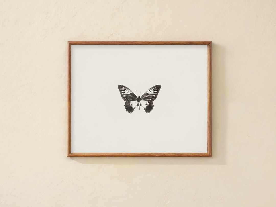 Golden Birdwing Butterfly Bromoil Transfer Print - Etsy