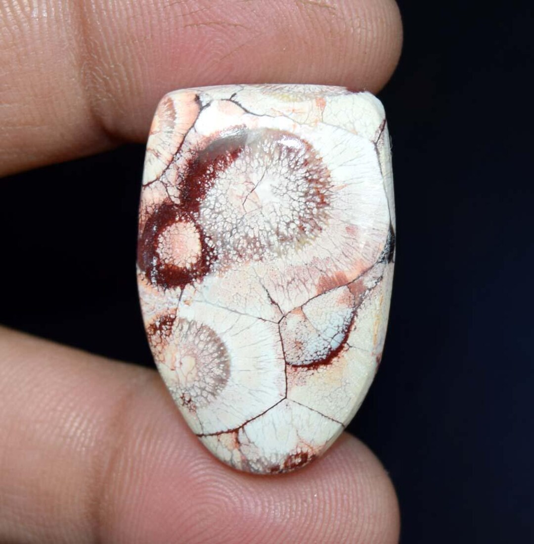 Bird Eye Jasper 29.95 Cts. 100% Natural Bird Eye Jasper Cabochon Loose ...