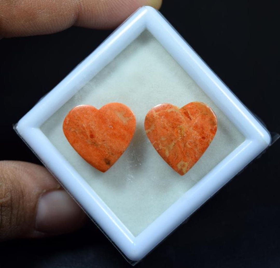 Pair American Sponge Coral, Heart Shape American Orange Sponge Coral ...