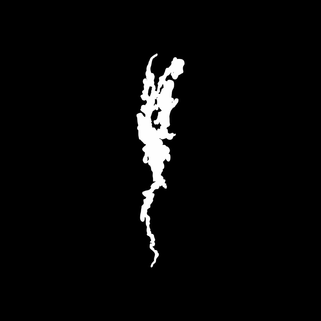 Lake Champlain Decal,lake Champlain Outline,adk Decals,adirondack ...