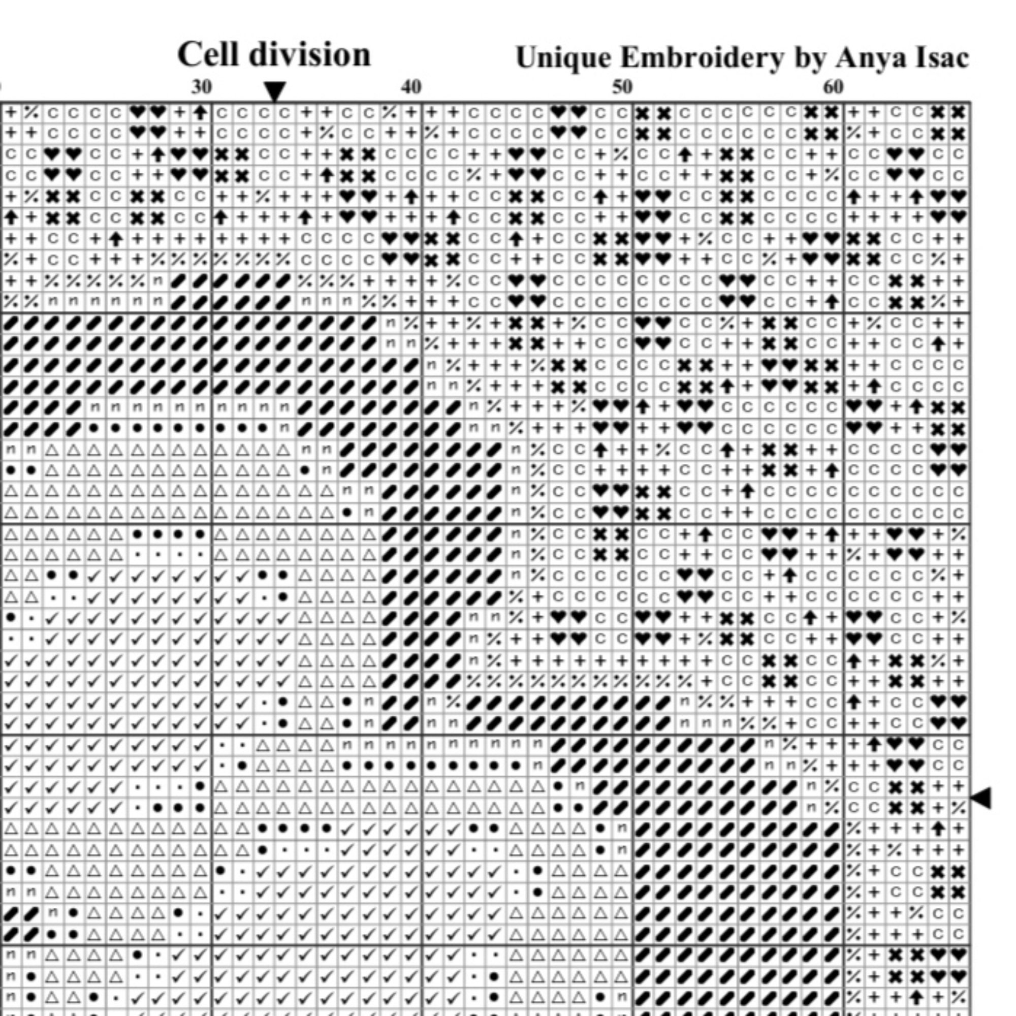 Biology Cross Stitch Pattern PDF - Cell Division + Video Guide ...