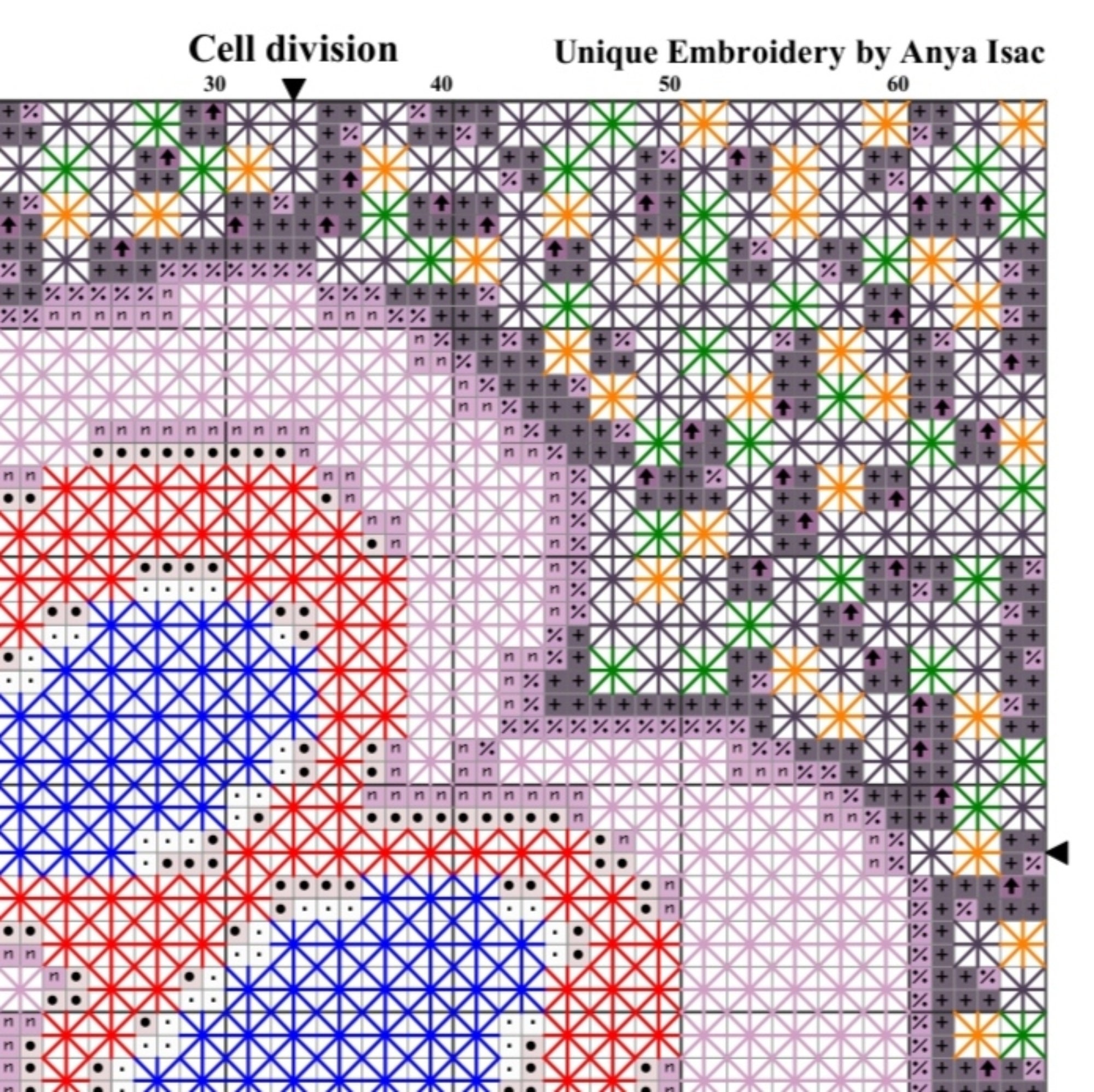 Biology Cross Stitch Pattern PDF - Cell Division + Video Guide ...