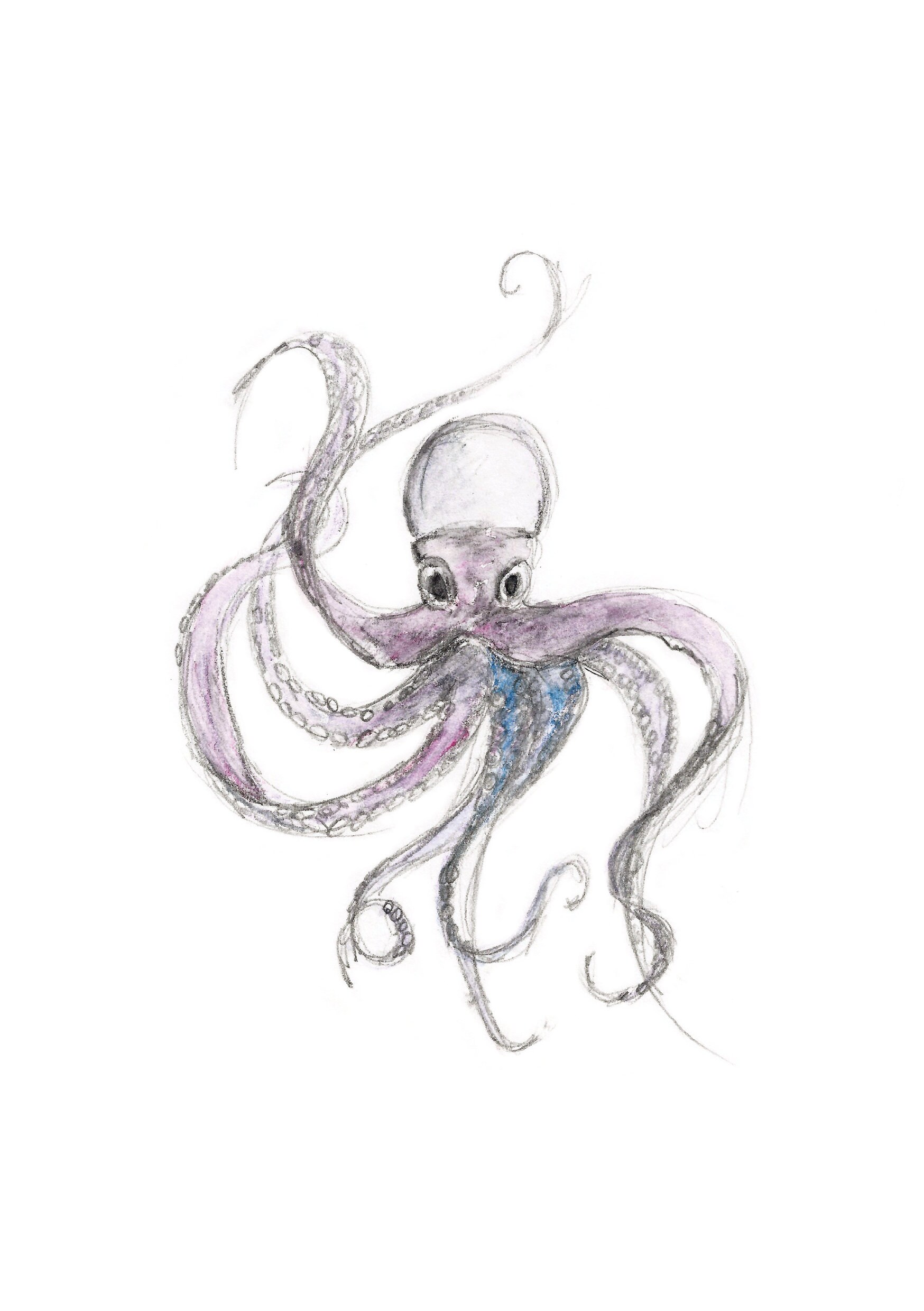 Giant Squid Print Squid Print Octopus Print Killer Squid - Etsy UK