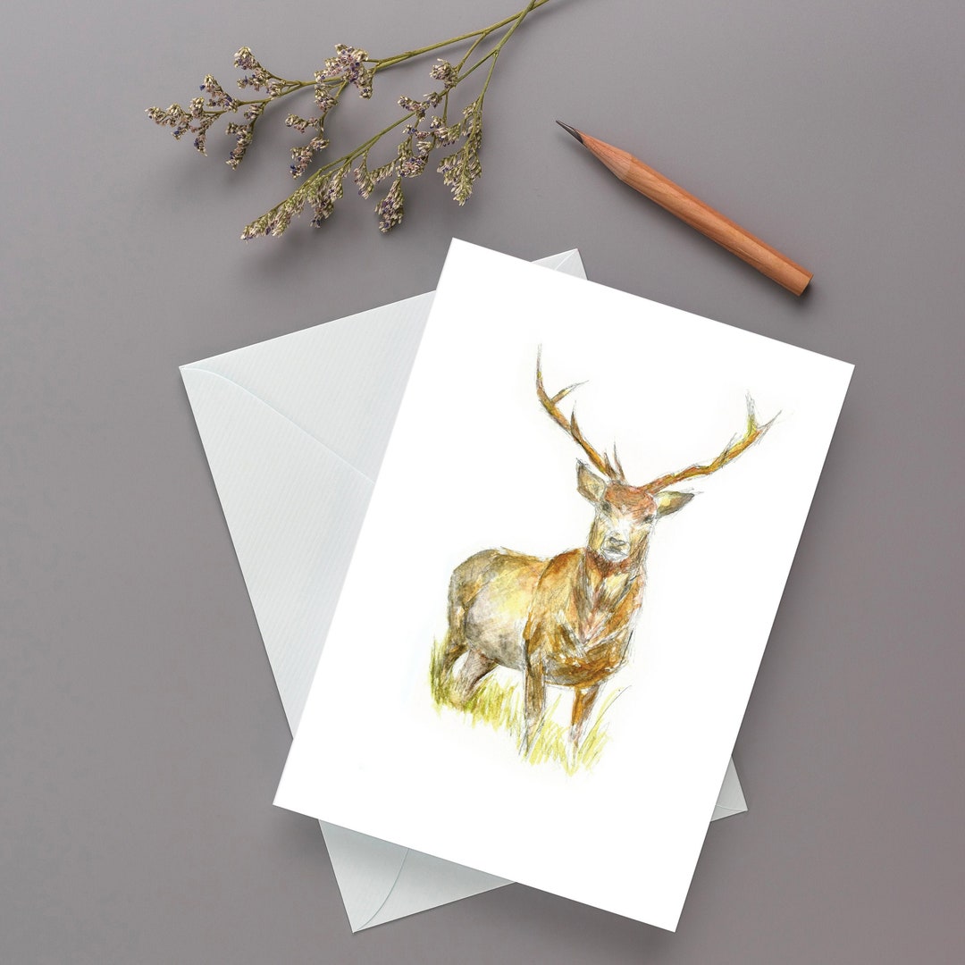 Stag Card | Stag Greeting Card | Stag Notecard | Stag Blank Card ...