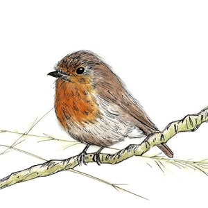 Robin Print | Robin Painting | Robin Bird | Robin Wall Art | Robin on ...