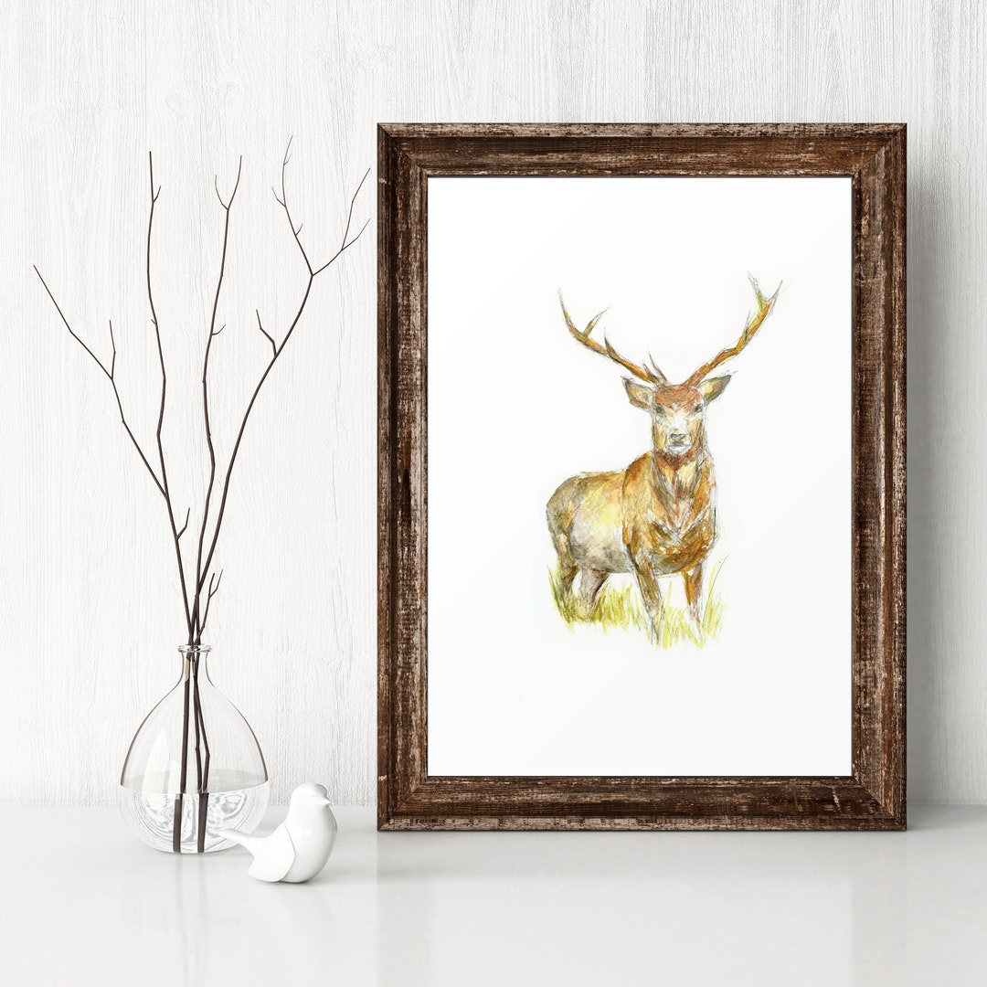 Stag Print | Stag Art | Framed Stag Prints | Matte Framed Stag Print ...