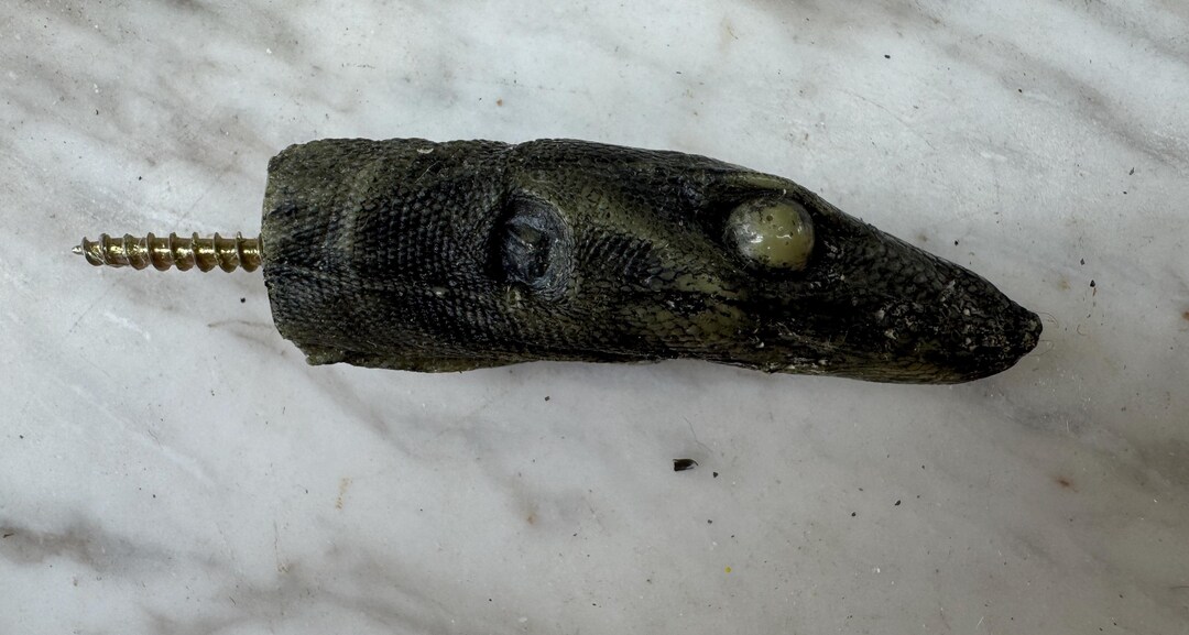Reptile Head Cast Model / Taxidermy / Replica of Real Snake / Dead Mask ...