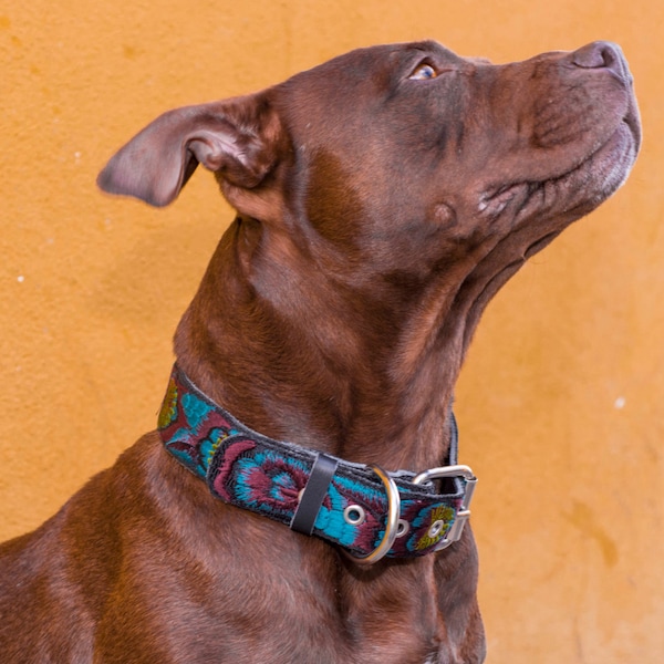 Unique Dog Collar - Etsy