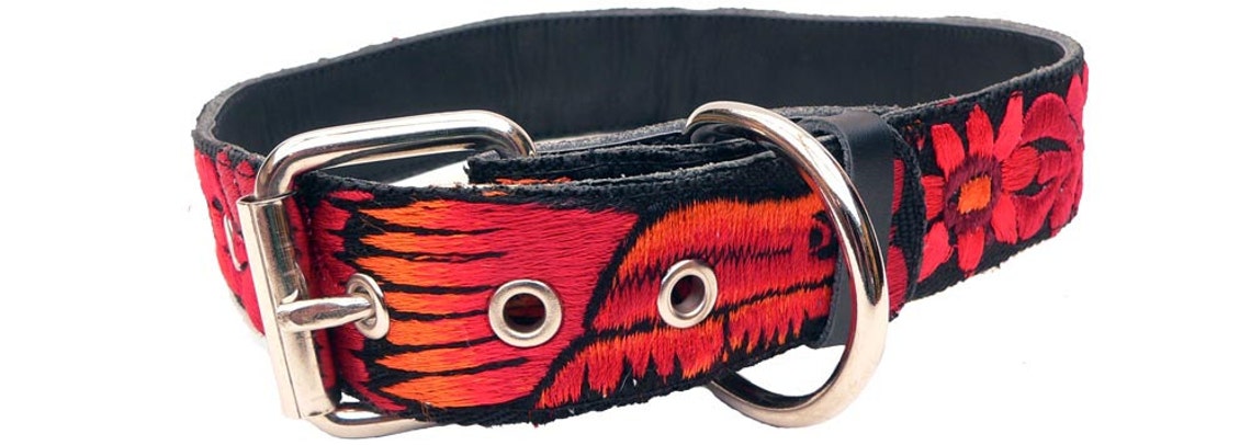 Leather Dog Collar Colorful Dog Collar Birds Dog Collar Red - Etsy