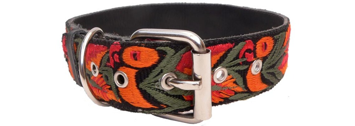 Leather Dog Collar Colorful Dog Collar Birds Dog Collar | Etsy