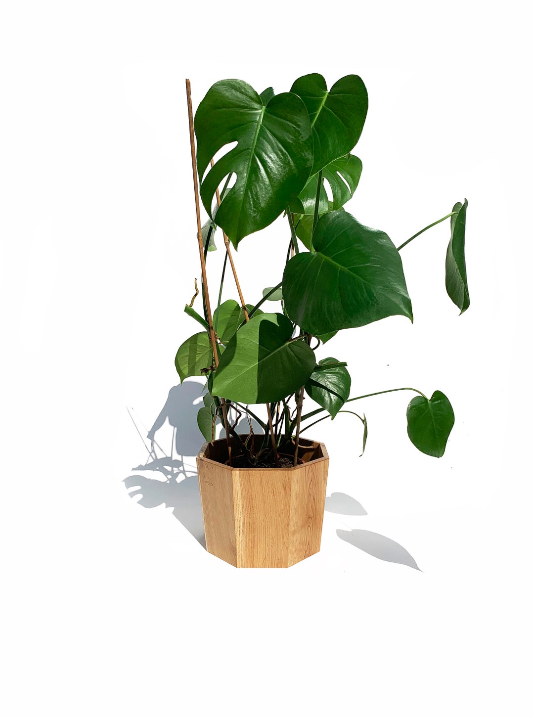 Geometric Octagon Solid Oak Plant Pot - Etsy