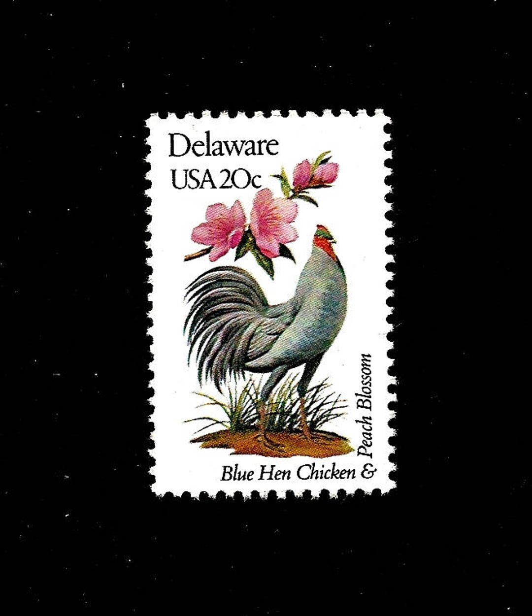 10 Delaware Postage Stamps - State Bird and Flower - Pack of (10 ...