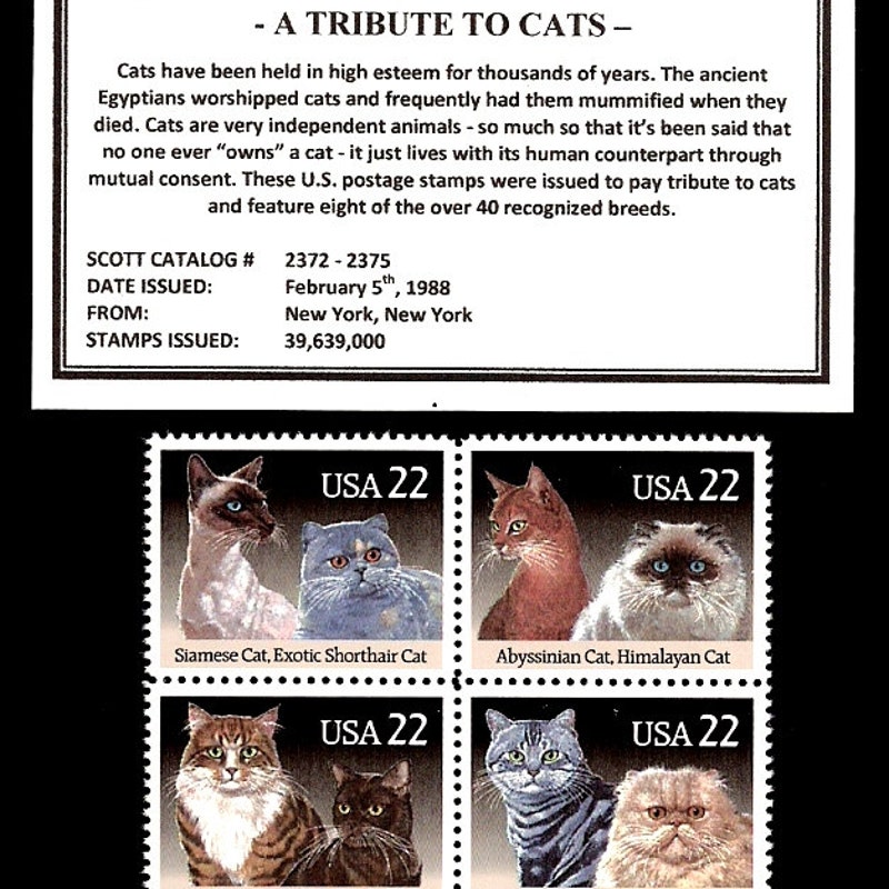 Vintage Cat Cards Unused - Etsy