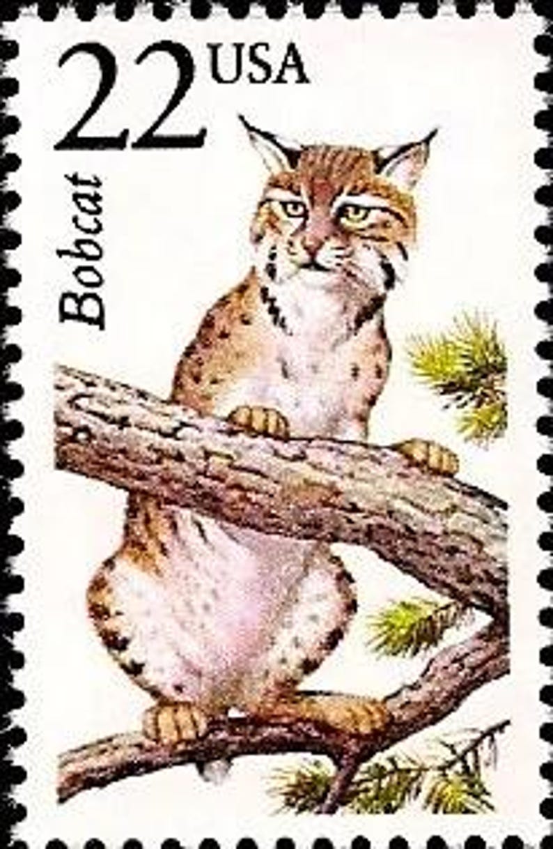 10 Bobcat Postage Stamps - Pack of 10 Vintage (issued in 1987) North ...