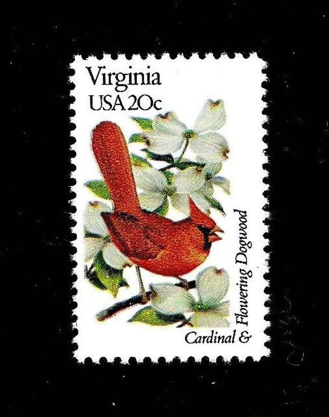 10 Virginia Postage Stamps - State Bird and Flower - Pack of (10 ...