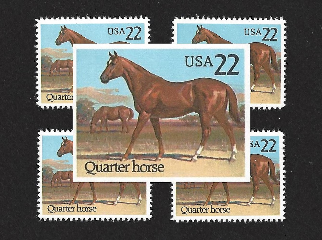 5 Quarter Horse Postage Stamps - Pack of (5) - Quarter Horse - Vintage ...