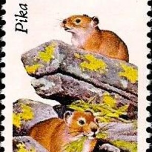 10 Pika Postage Stamps - Pack of 10 Vintage (issued in 1987) North ...