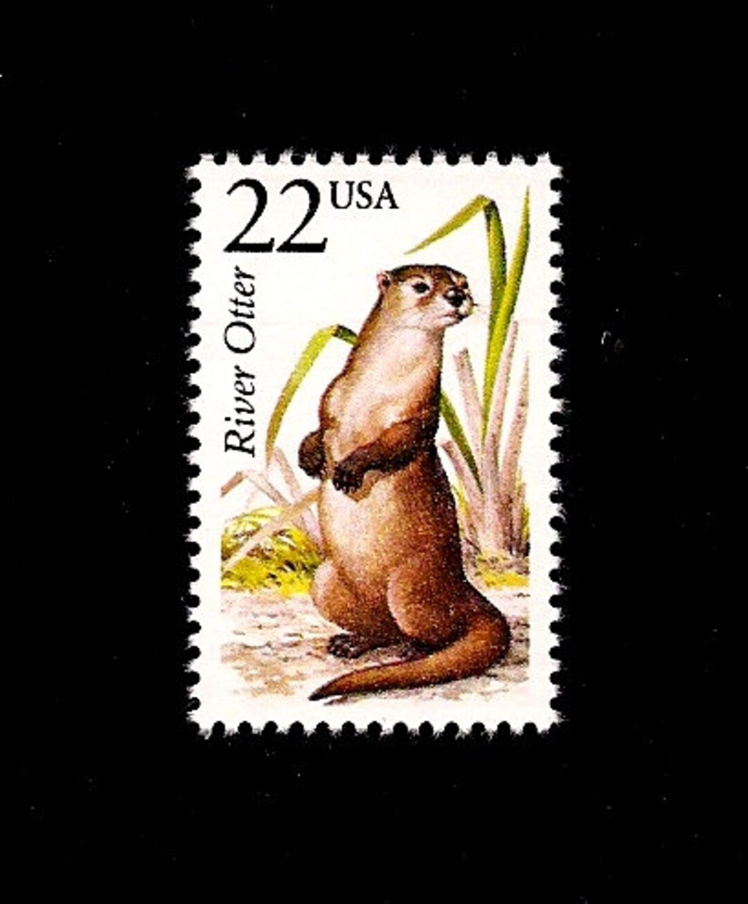 10 River Otter Postage Stamps -pack of 10 Vintage (issued in 1987 ...