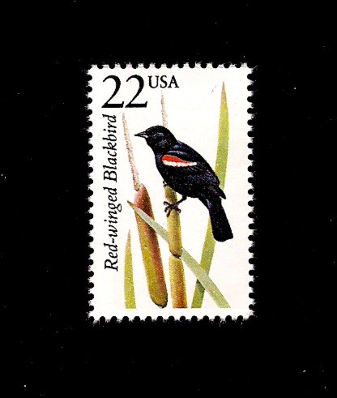 10 Red-winged Blackbird - Pack of 10 Vintage (issued in 1987) North ...