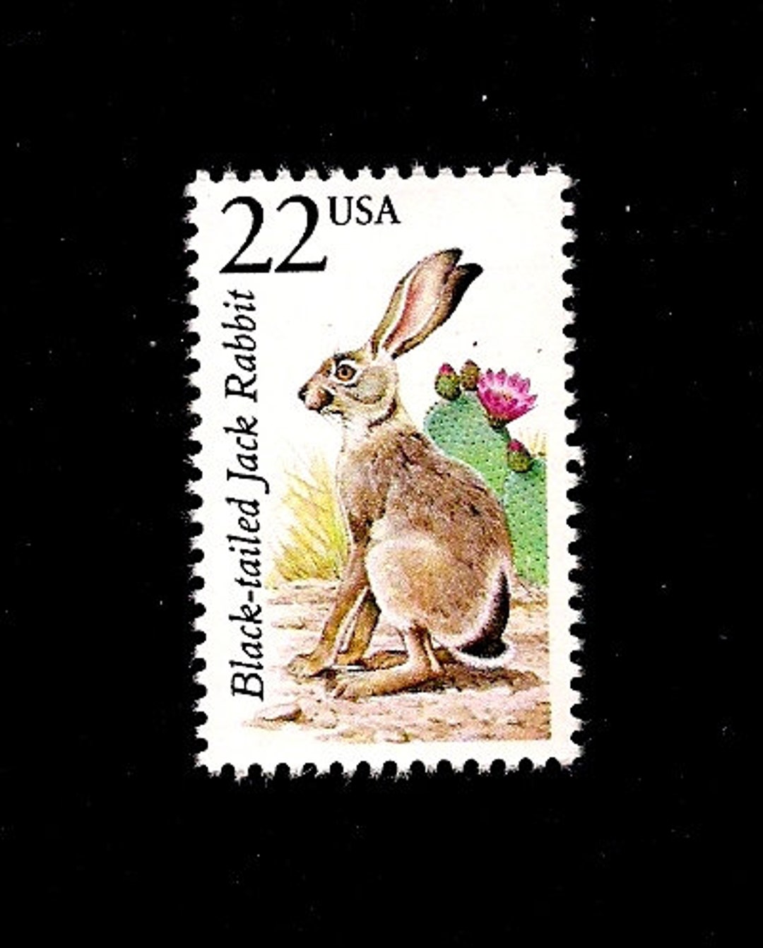 10 Jack Rabbit Pack of 10 Vintage issued in 1987 North American ...