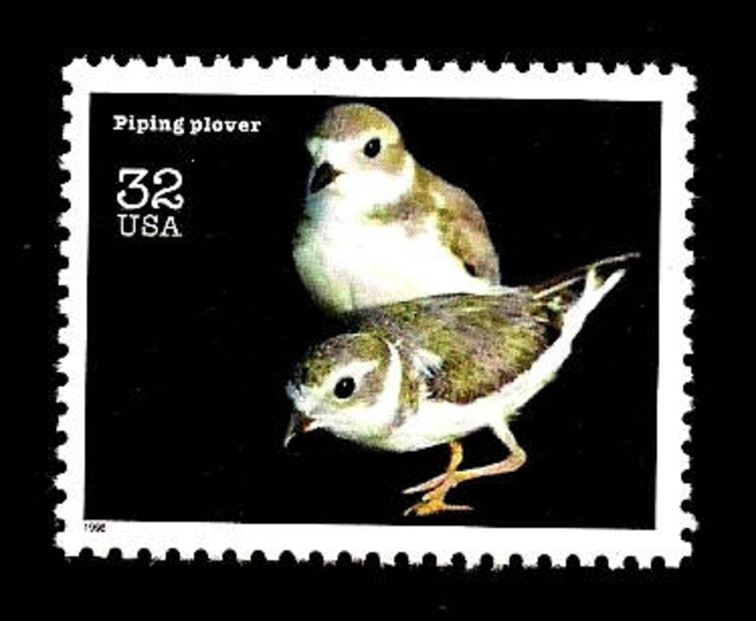 5 Piping Plover Postage Stamps - Pack of (5) Vintage (issued in 1996 ...