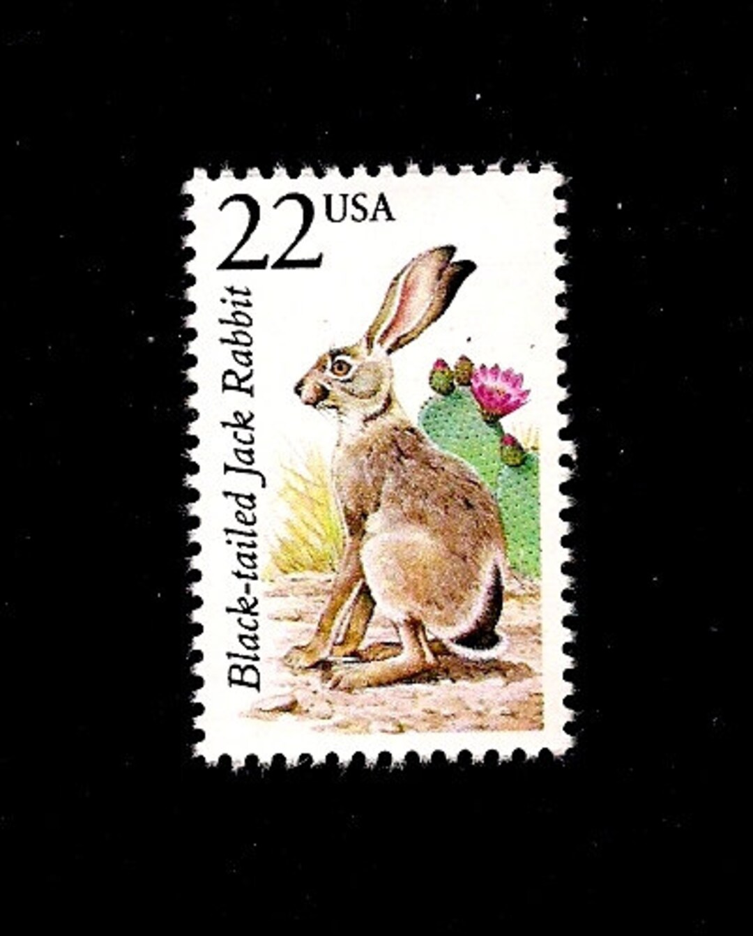10 Jack Rabbit Postage Stamps - Pack of 10 Vintage (issued in 1987 ...