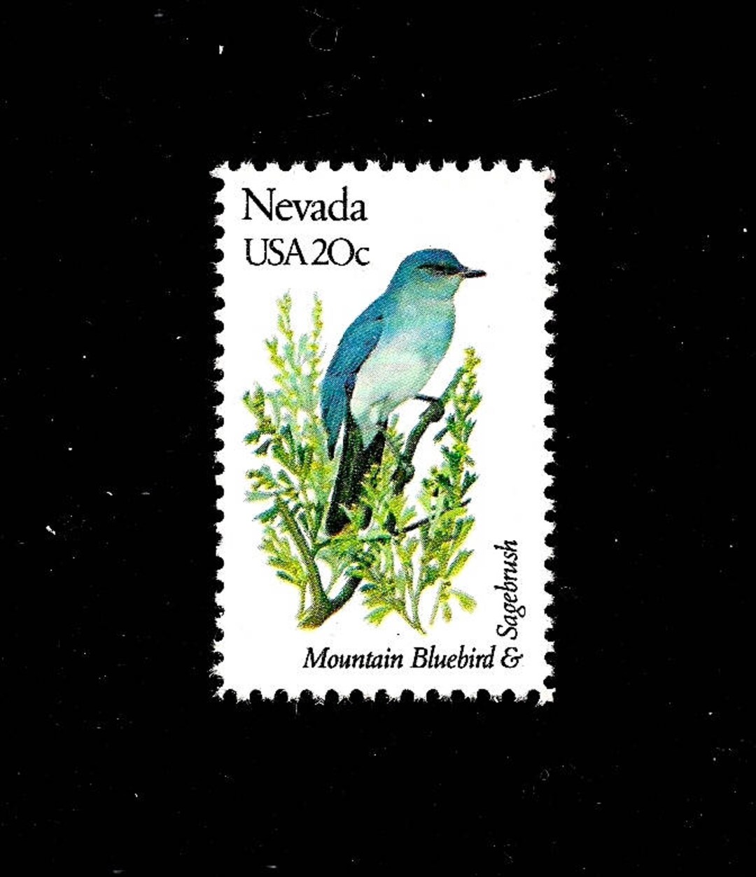 10 Nevada Postage Stamps - State Bird and Flower - Pack of (10) Vintage ...