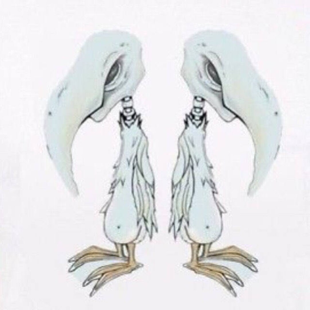 Buzzard Shirt From the Amazing Artist Bozoed! Cool T-shirt Design! - Etsy