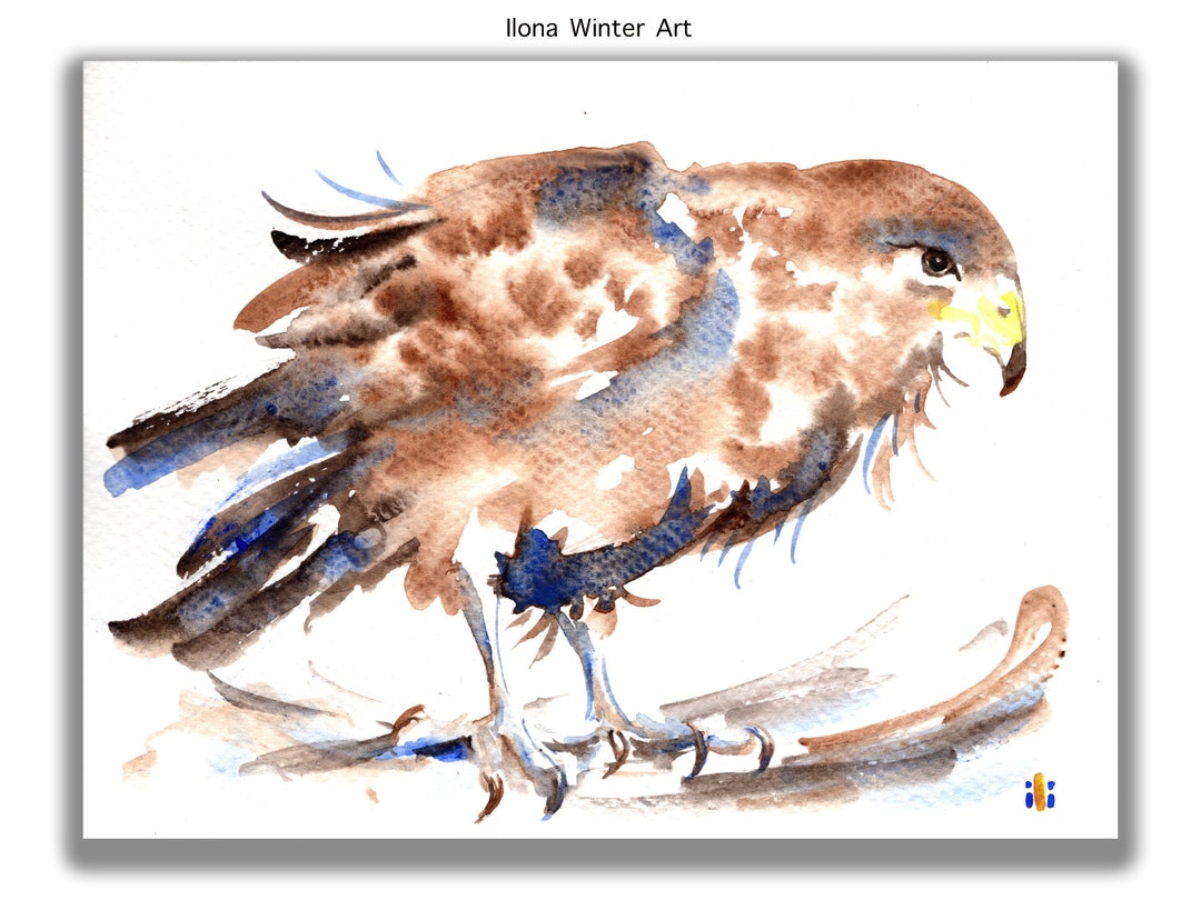 Original Watercolor Painting Buzzard Bird by Ilona Winter - Etsy