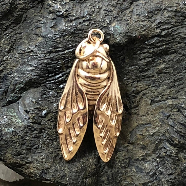 Cicada Jewelry - Etsy