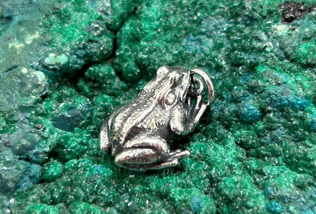 Frog Charm, Sterling Silver Dimensional Frog Charm, Sterling Silver ...