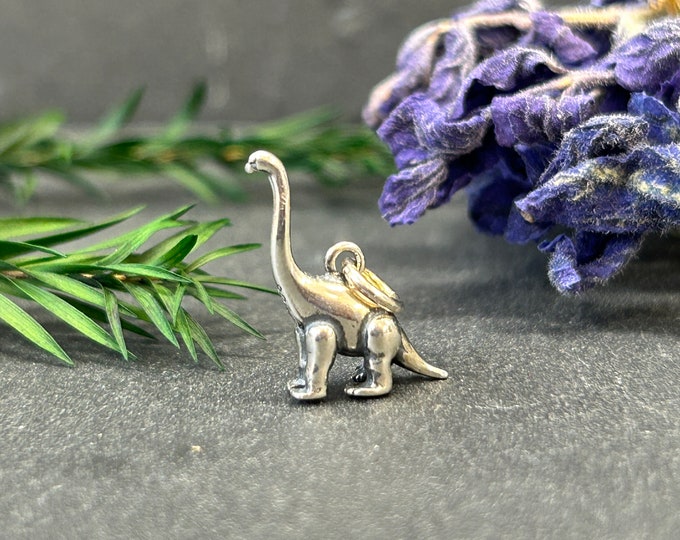 Wooly Mammoth Charm, Dinosaur Charm, Paleontologist Charm, Sterling ...