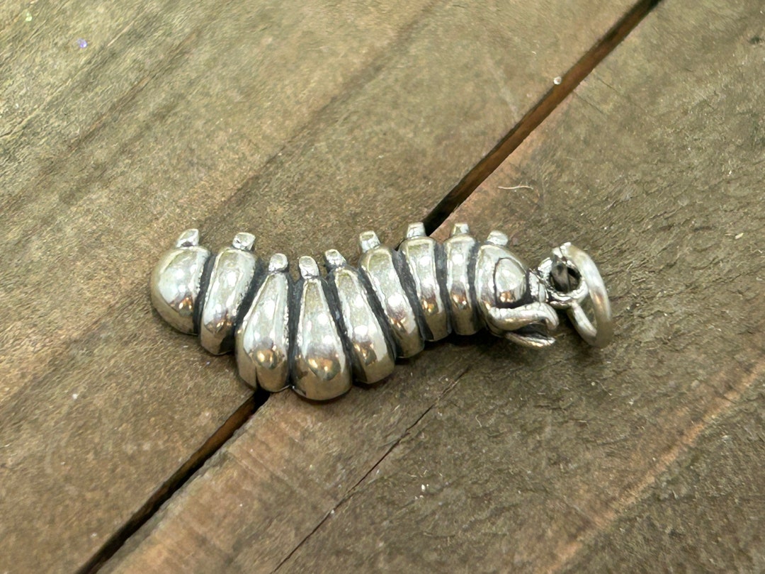 Caterpillar Charm, Caterpillar Pendant, Bug Charm, Worm Charm, Nature ...