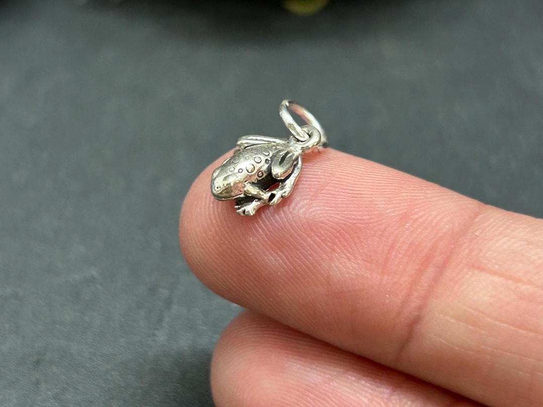 Frog Charm, Sterling Silver Dimensional Frog Charm, Sterling Silver ...