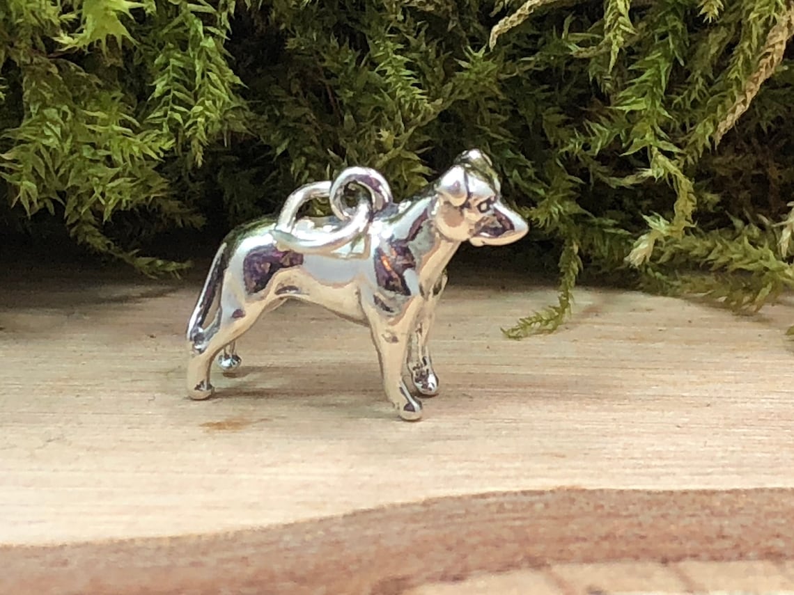 Pit Bull Charm, Pit Bull Pendant, Pit Bull Lover, Bully Breed, Bully ...