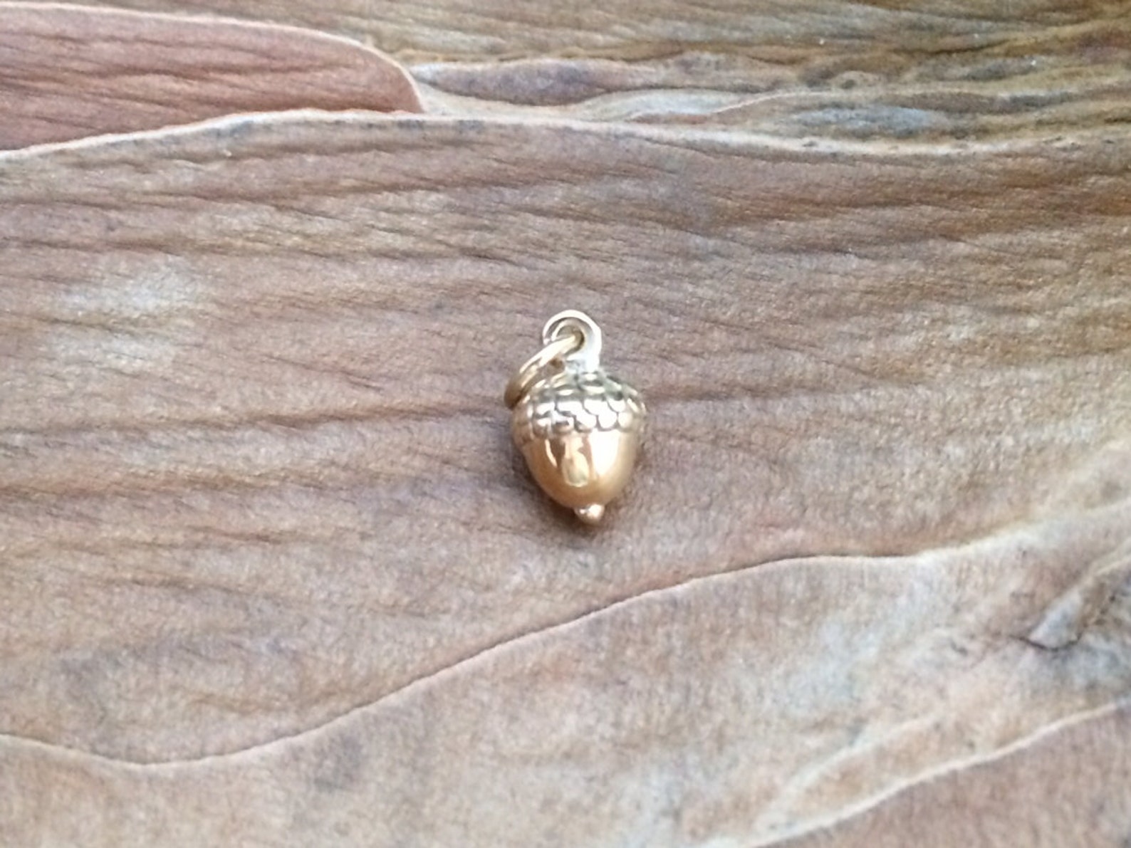 Acorn Charm Acorn Pendant Tiny Acorn Charm Nature Charm | Etsy