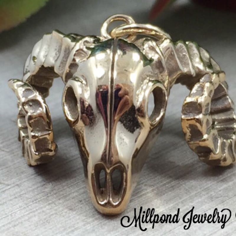 Sheep Skull - Etsy