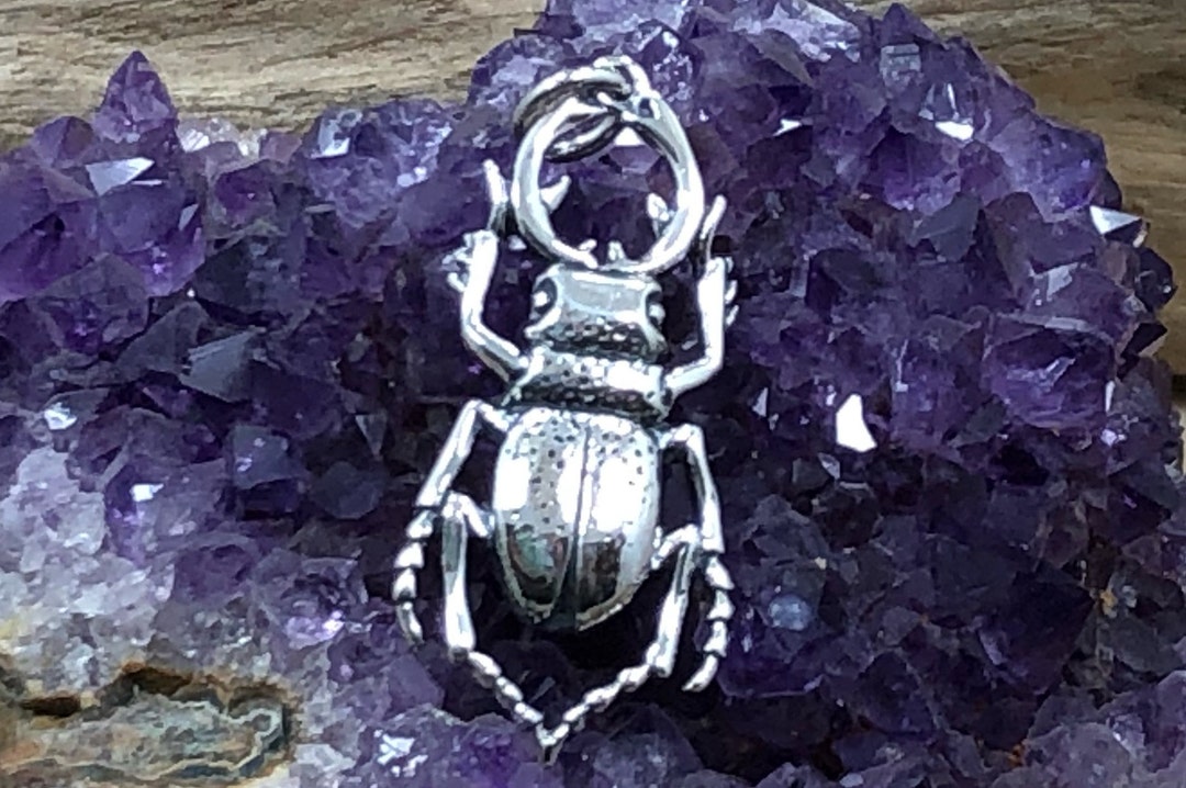 Beetle Charm, Bug Charm, Stag Beetle Charm, Insect Charm, Sterling ...