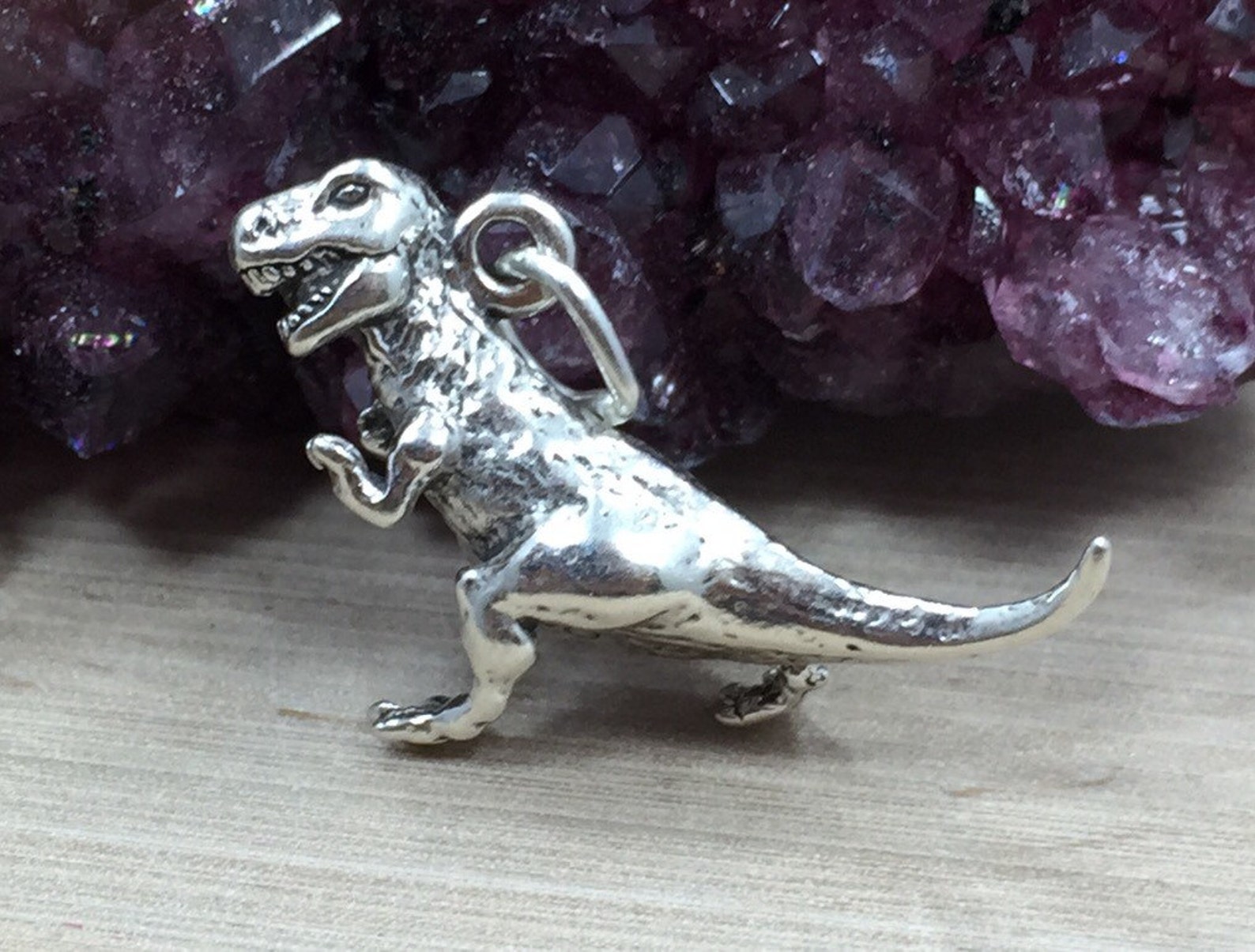 T Rex Charm, Tyrannosaurus Rex Charm, Dinosaur Charm, Paleontologist ...