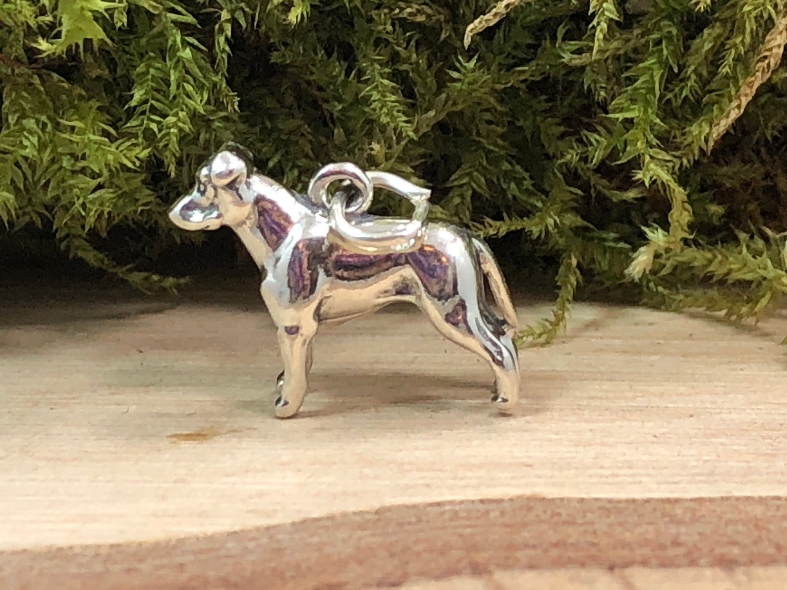 Pit Bull Charm, Pit Bull Pendant, Pit Bull Lover, Bully Breed, Bully ...