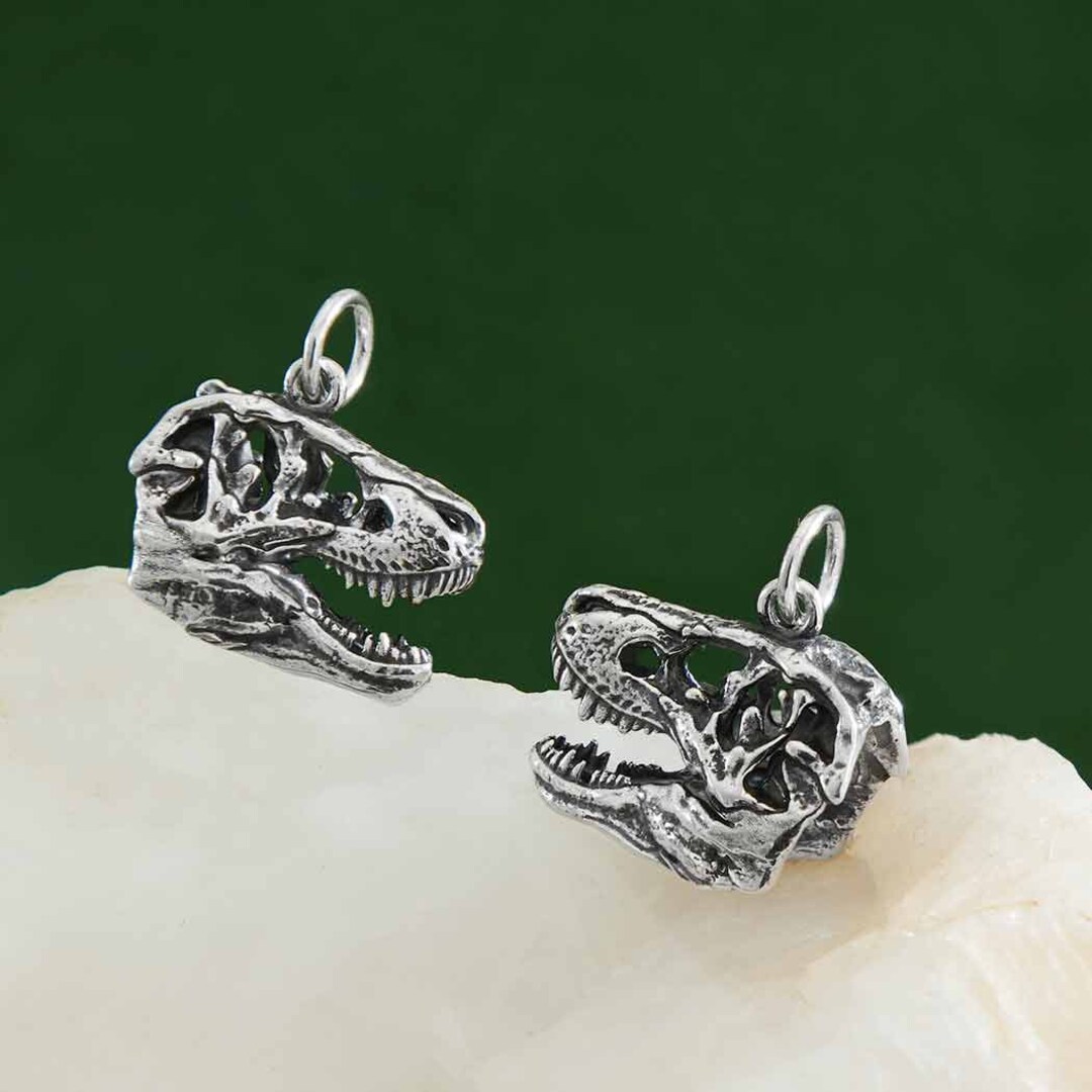 Sterling Silver T-rex Skull Charm, T Rex Charm, Tyrannosaurus Rex Charm ...