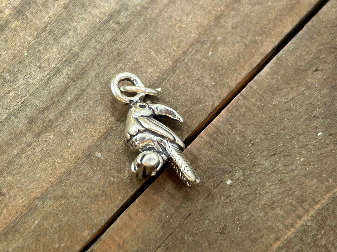 Toucan Charm, Toucan Pendant, Bird Charm, Bird Pendant, Sterling Silver ...
